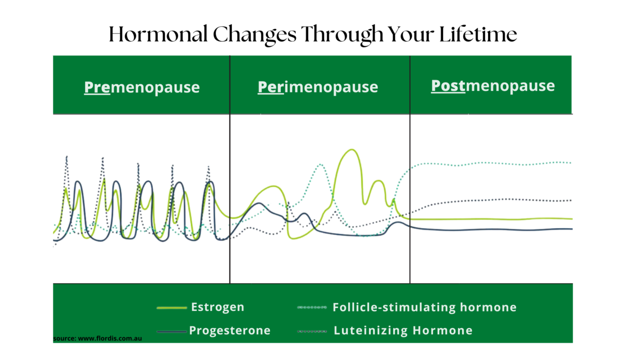 Guide to Menopause vs. Perimenopause - KALE Blog